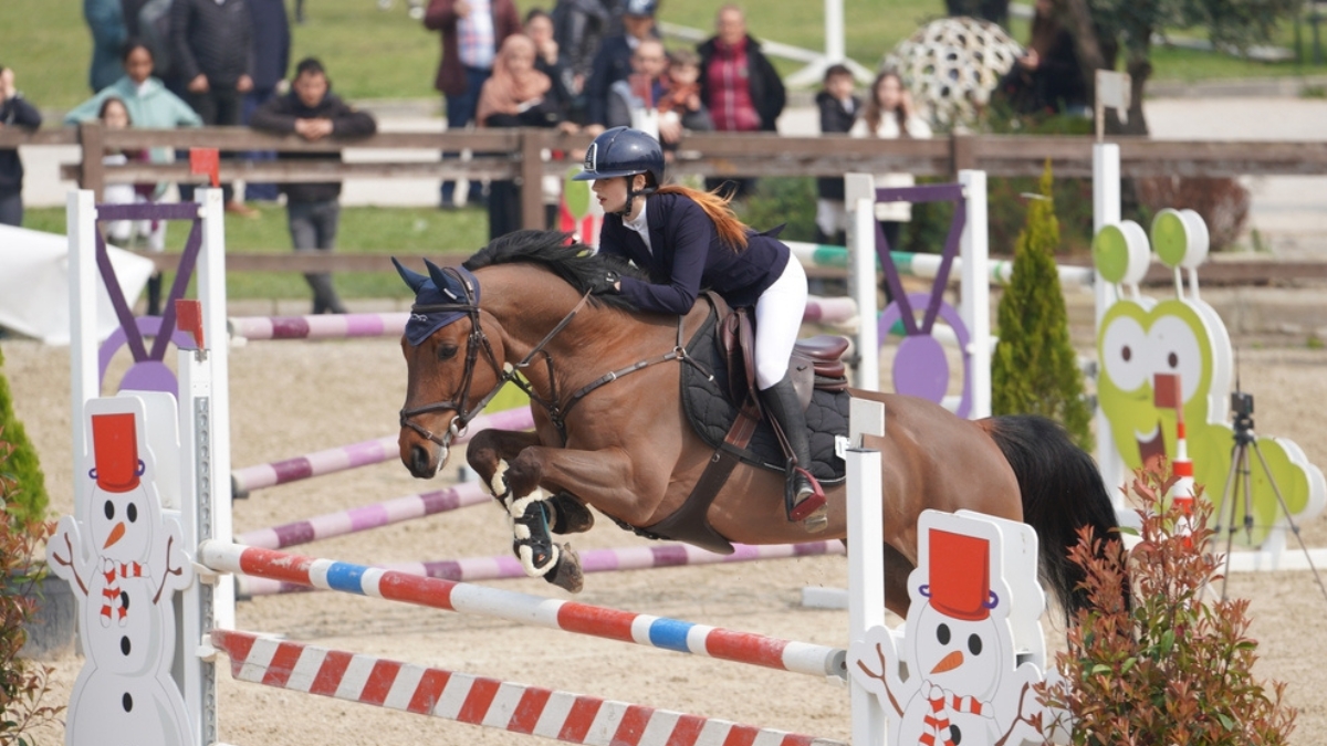 FFE SIF : inscription facile à une compétition équestre en ligne